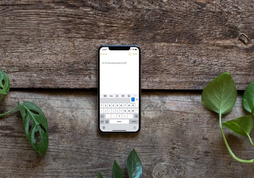 How To Make Degree Symbol On IPhone IPad And Mac INDABAA